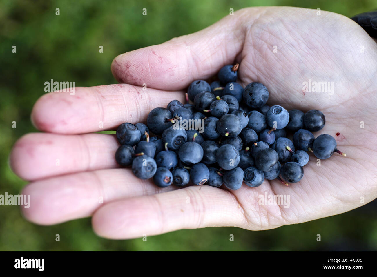 Single hand closeup hi-res stock photography and images - Alamy