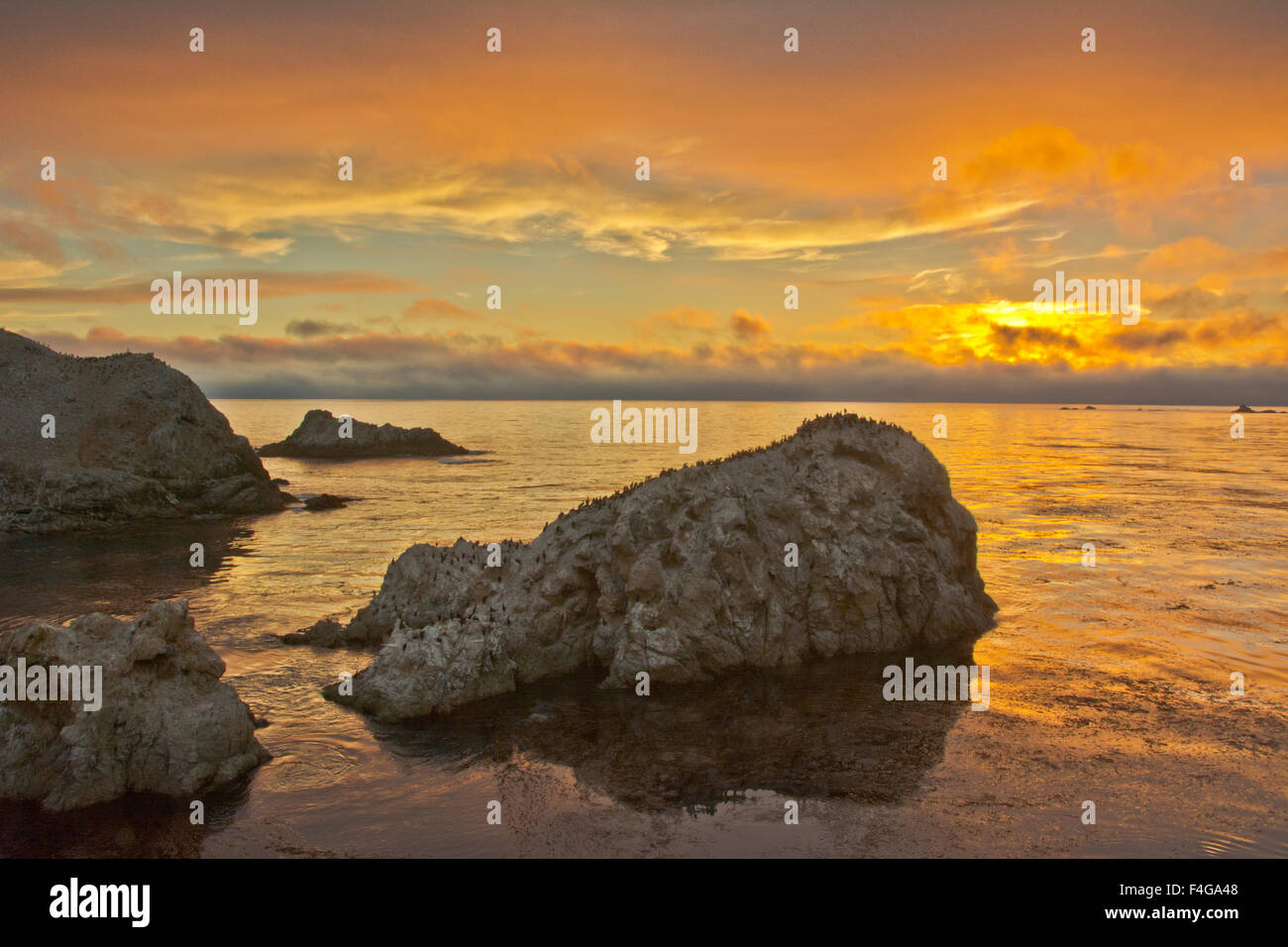 Sunset, Bird Island, Point Lobos State Reserve, California, USA Stock ...