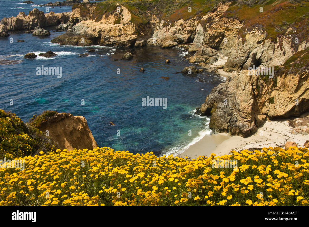 Beach and Cove, Garrapata State Park, California, USA Stock Photo - Alamy