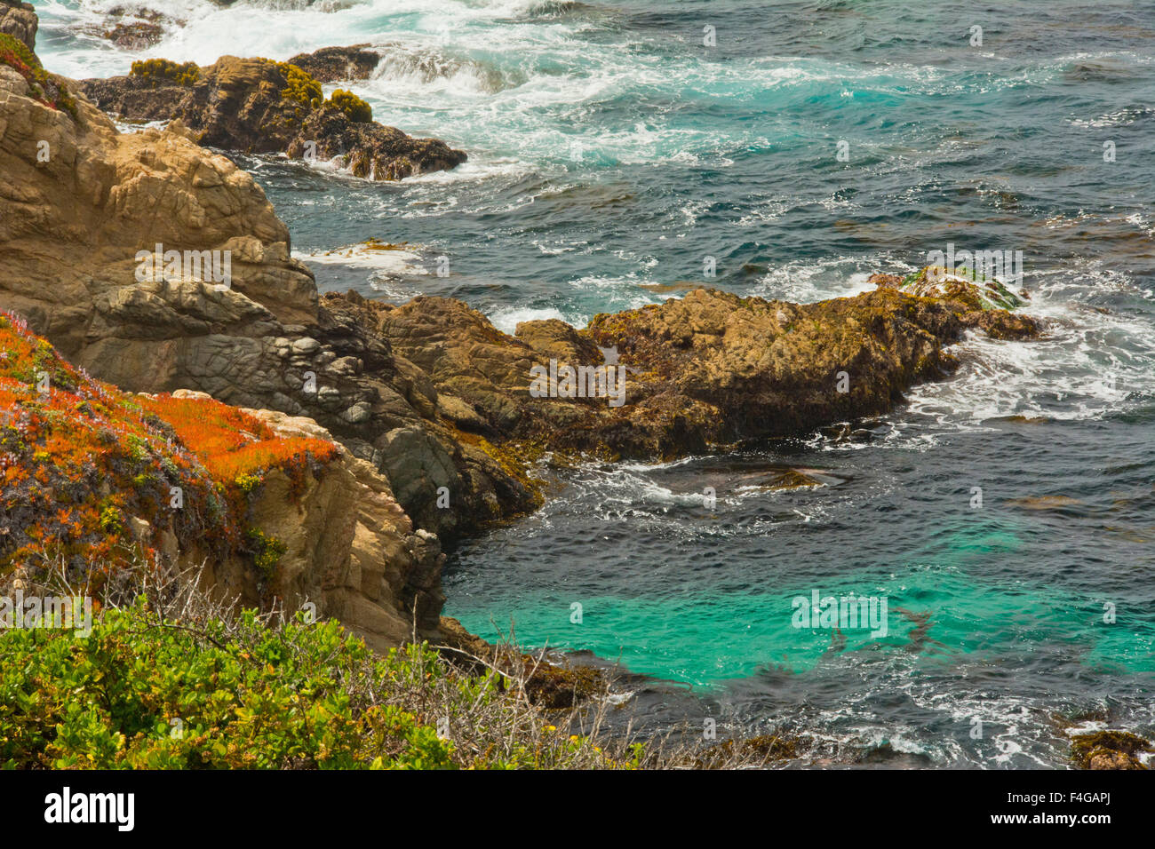 Garrapata State Park, Big Sur, California, USA Stock Photo - Alamy