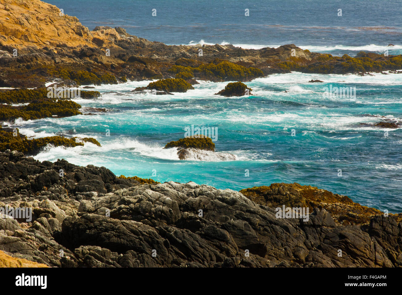 Rocks and Surf, Garrapata State Park, Big Sur, California, USA Stock ...