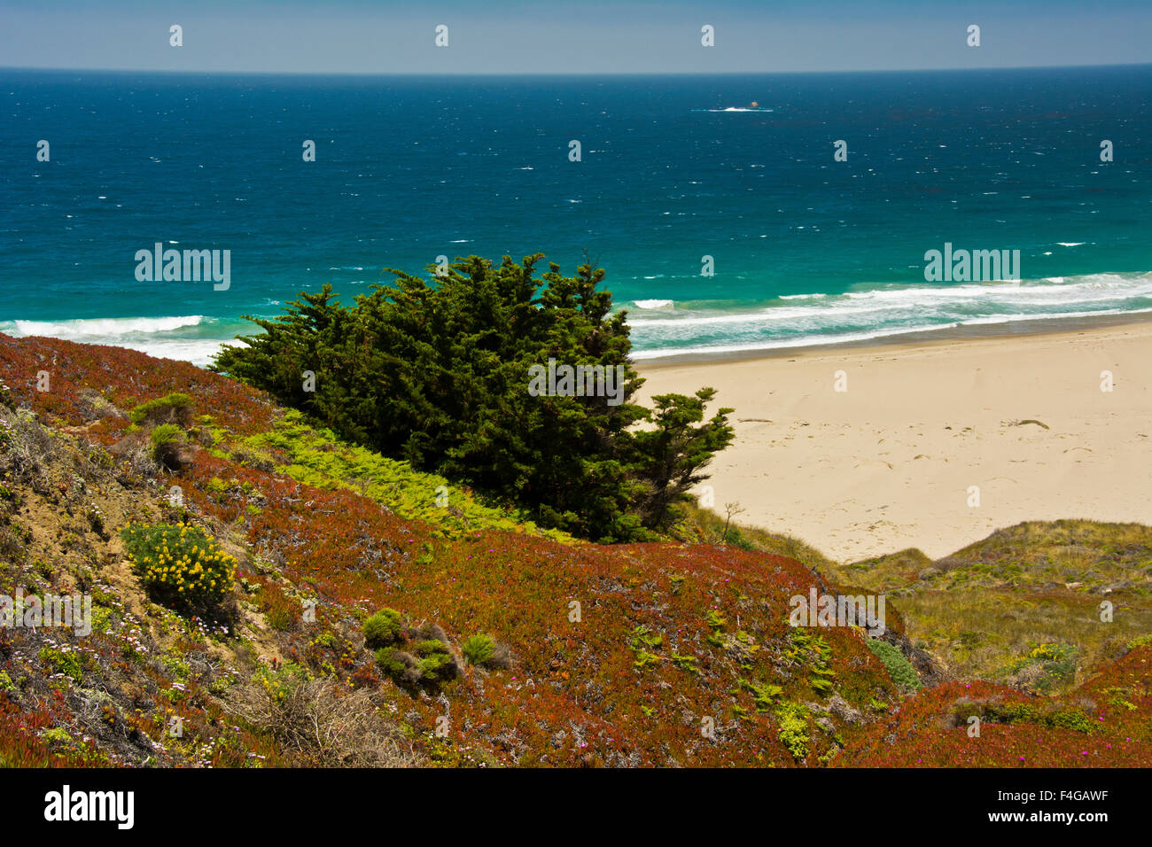 Beach scene, Big Sur, California, USA Stock Photo - Alamy