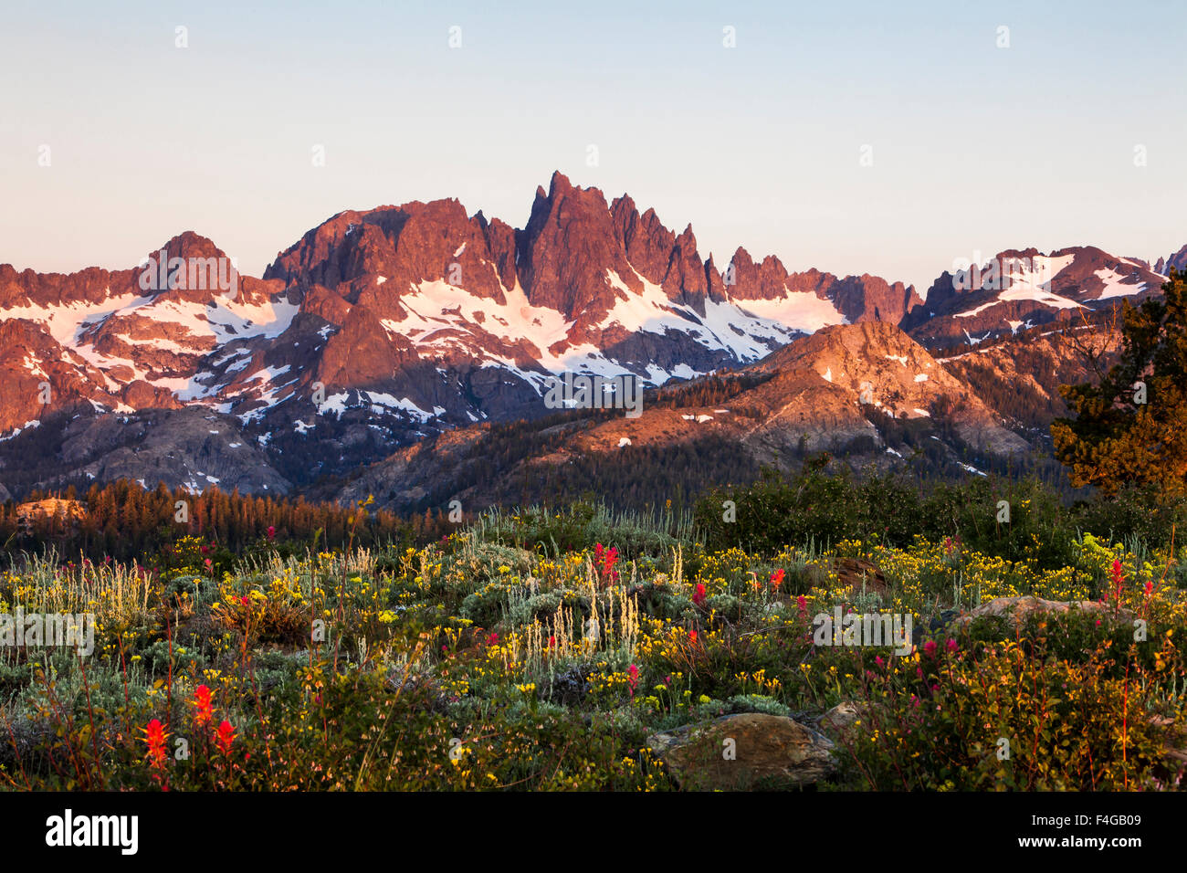 Minarets From Mammoth Summit