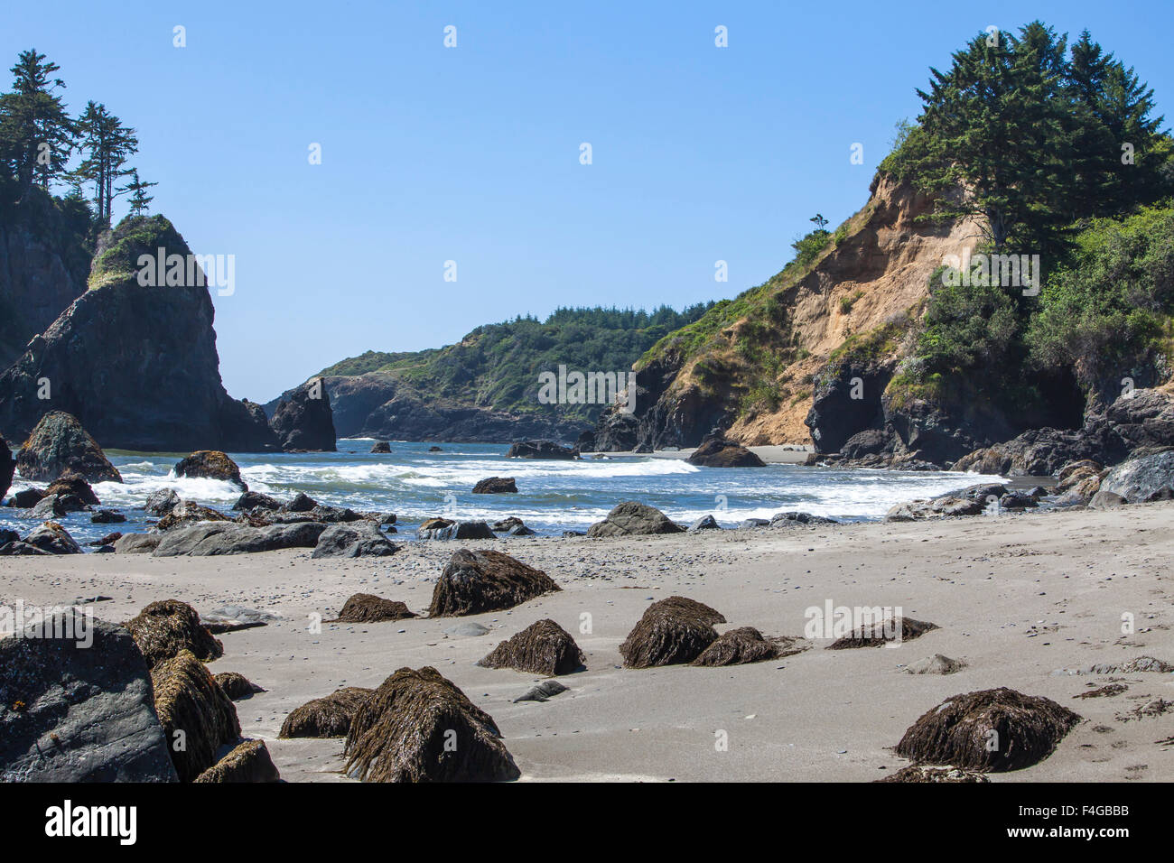 Trinidad, California. The beach at Trinidad State Beach Stock Photo - Alamy