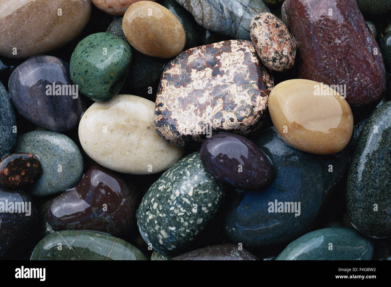 Pacific Northwest USA, Colorful river rocks (Large format sizes ...