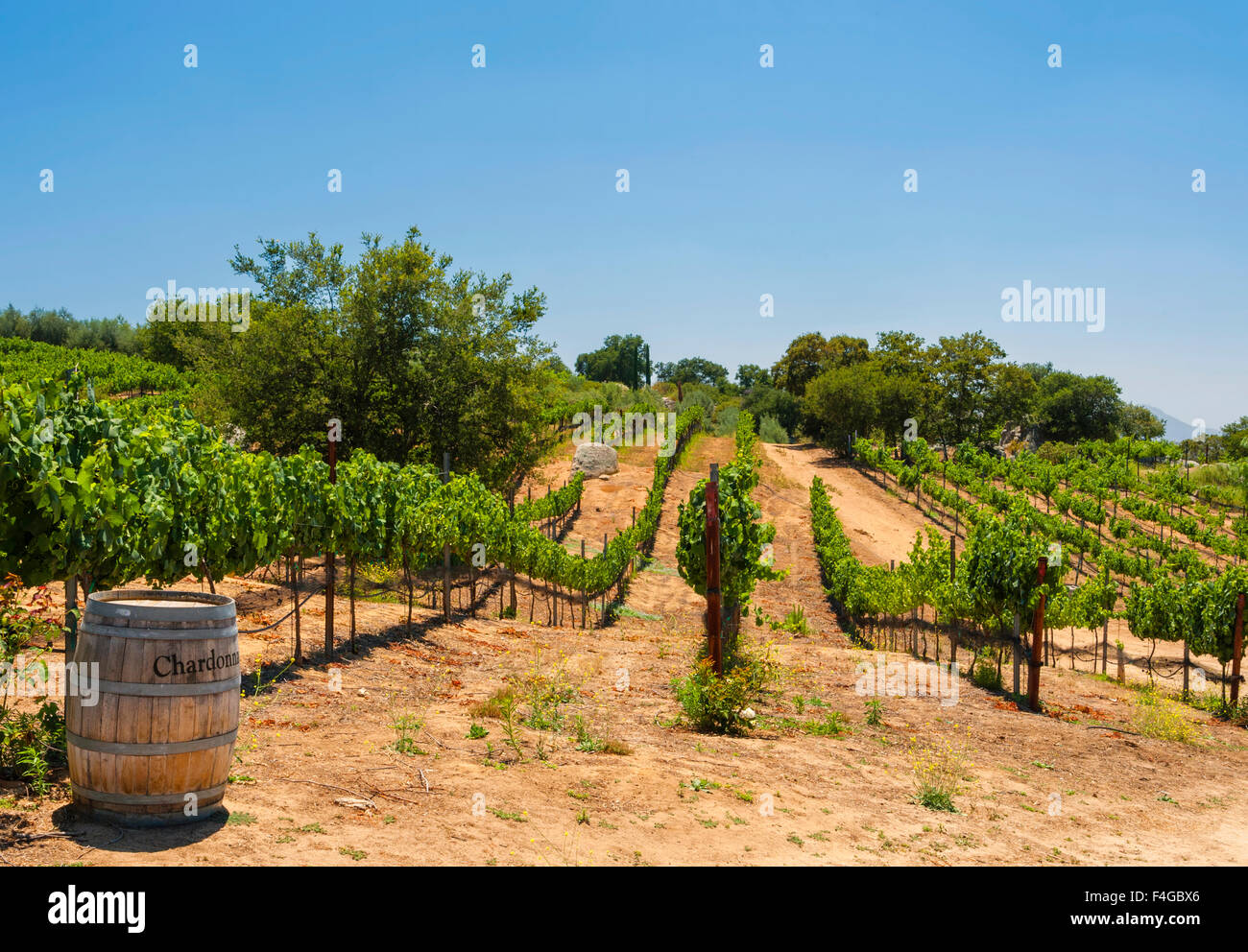 Ramona hi-res stock photography and images - Alamy