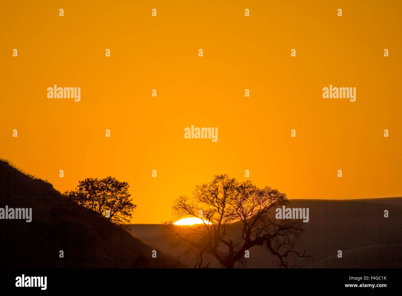 Bitterwater High Resolution Stock Photography and Images - Alamy