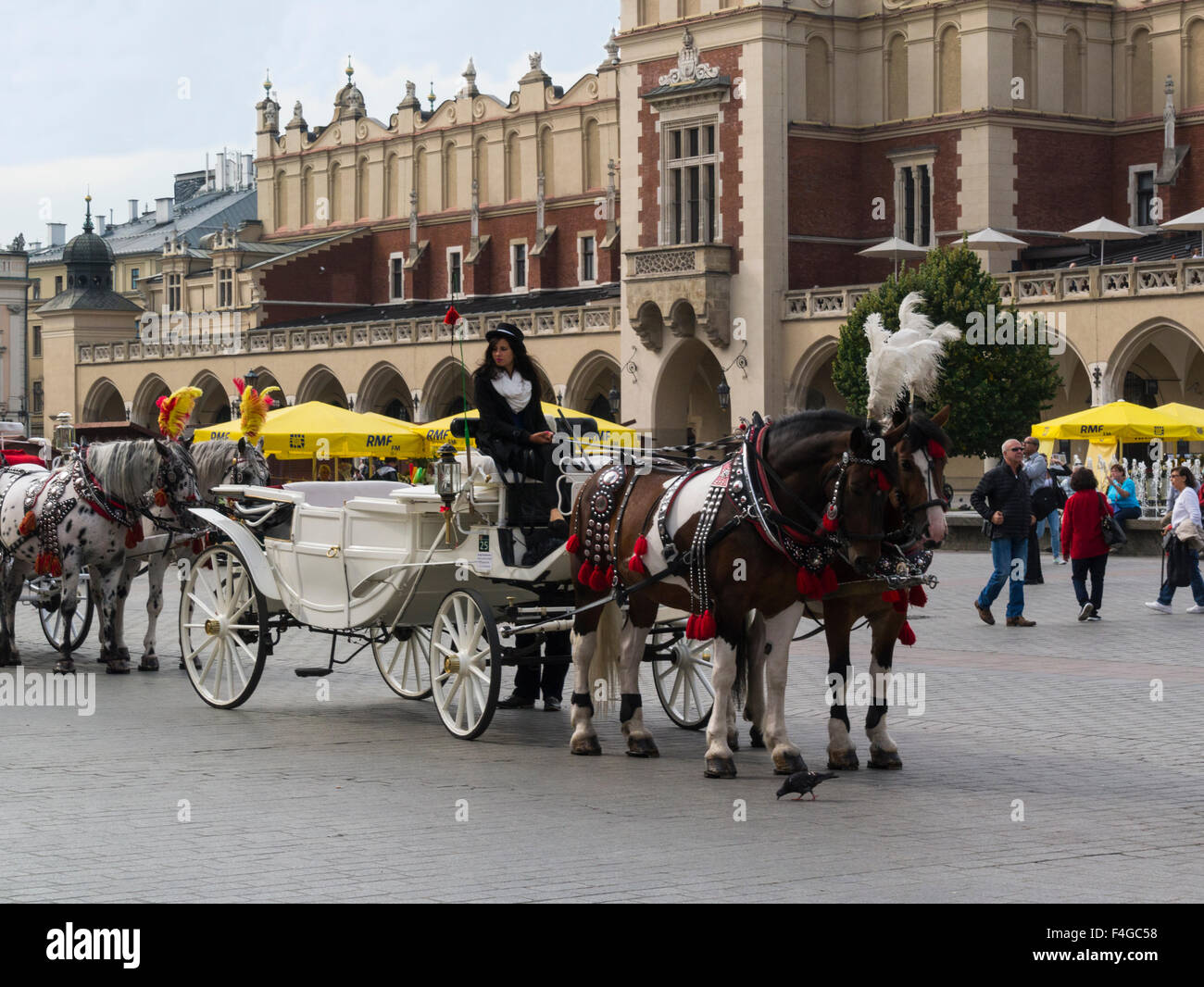 Rynek Glowny 13thc central medieval market square old town Krakow ...