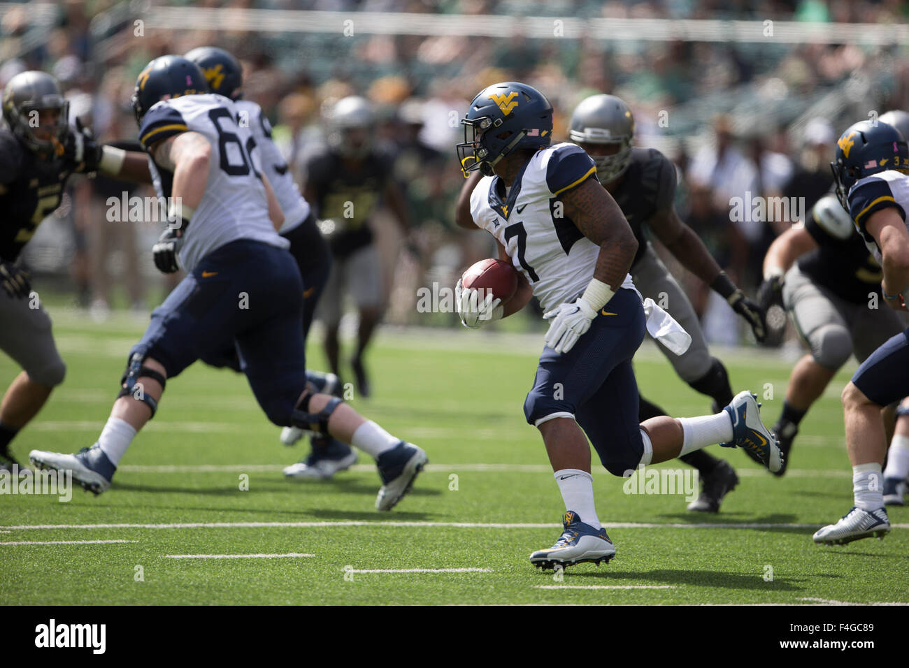 Rushel shell hi-res stock photography and images - Alamy