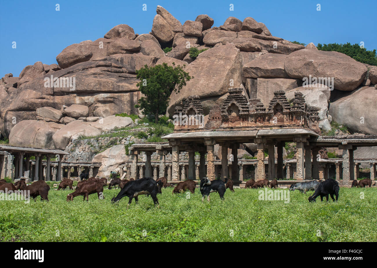 Krishna temple Complex ruins at Hampi Stock Photo - Alamy