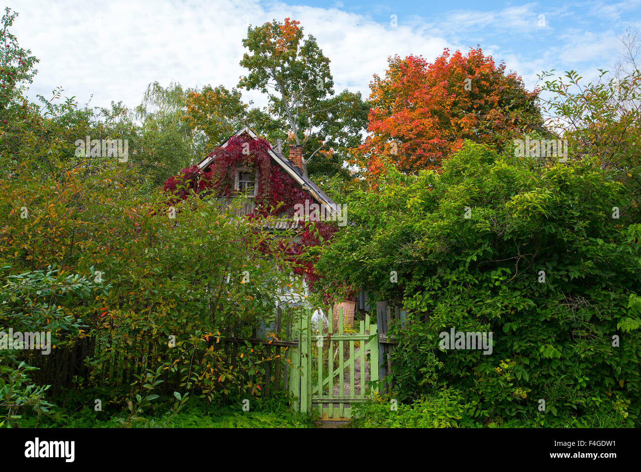 Wooden house among the yellowed trees - autumn rural landscape Stock ...