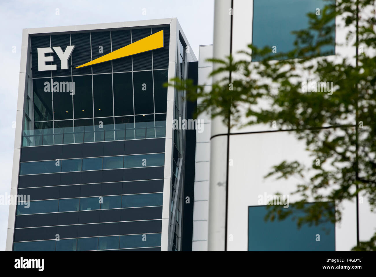 Ey logo hi-res stock photography and images - Alamy