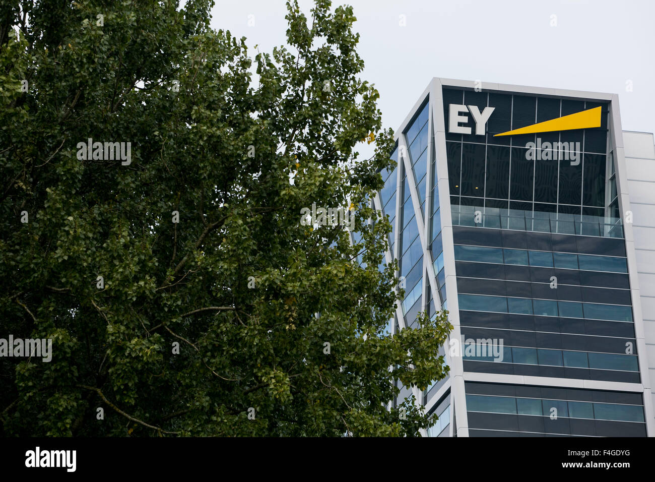 Ey logo hi-res stock photography and images - Alamy