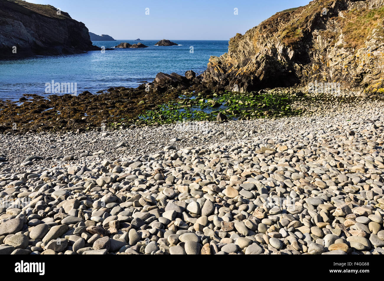 Pebbly beach near Solva on the coast of Pembrokeshire, Wales Stock ...
