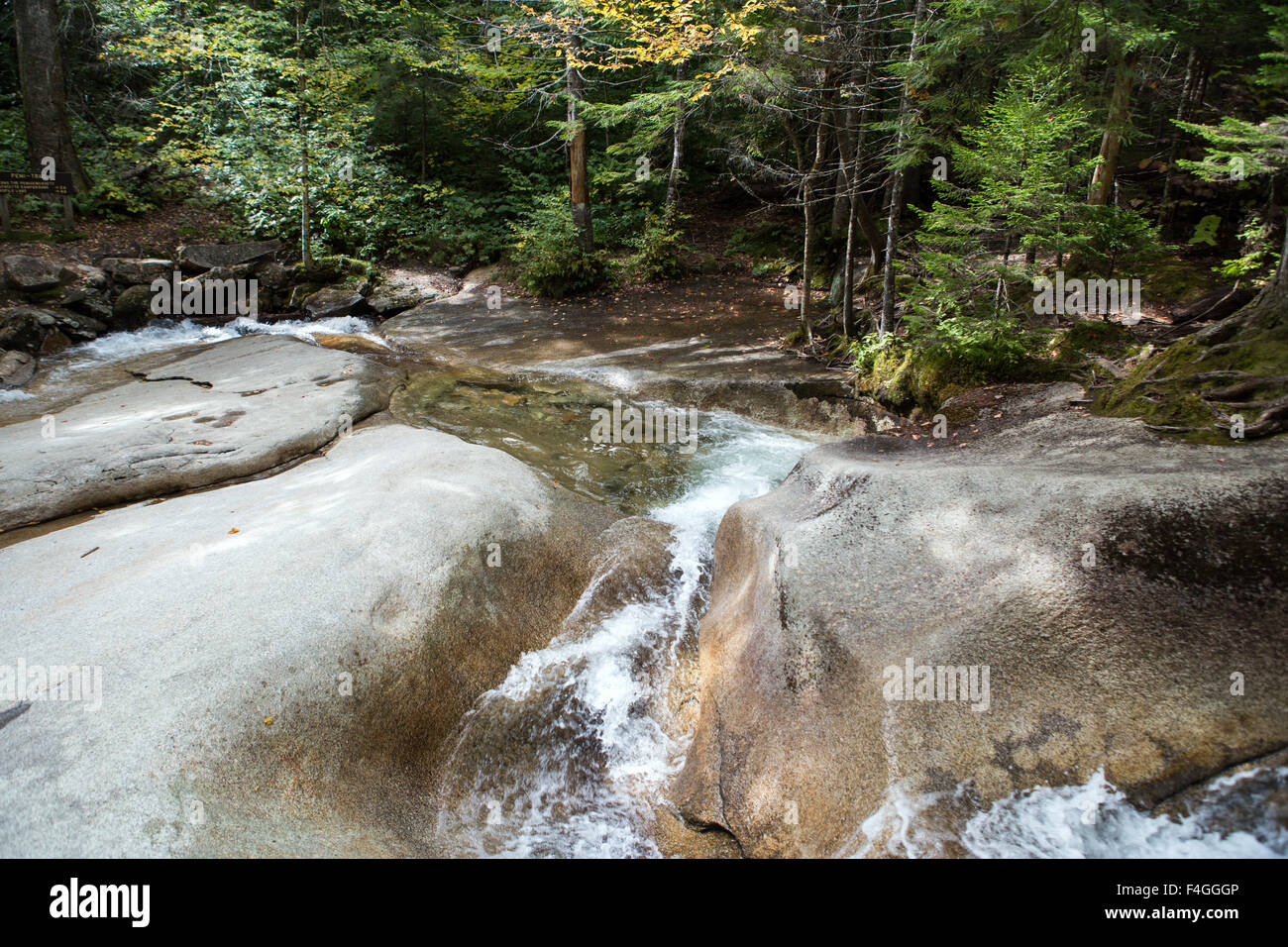 Autumn Trees at fall time at The Basin in New Hampshire Stock Photo - Alamy