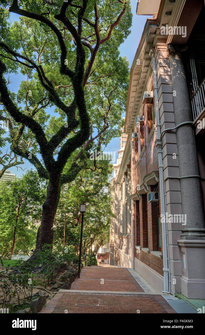 University of hong kong hku hi-res stock photography and images - Alamy