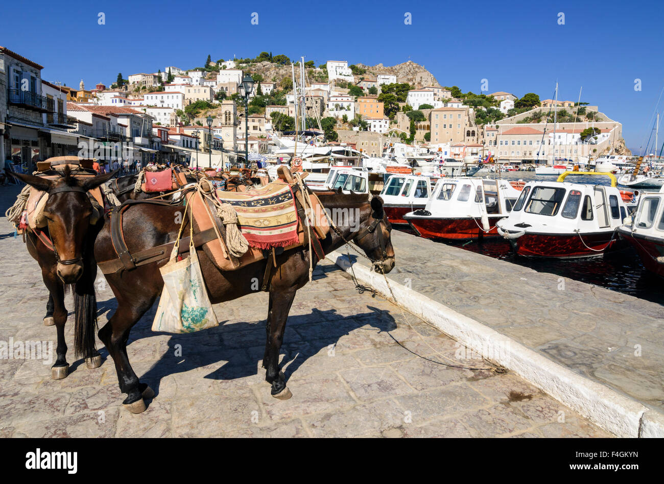 Donkeys along Hydra Town waterfront, Hydra Island, Greece Stock Photo ...