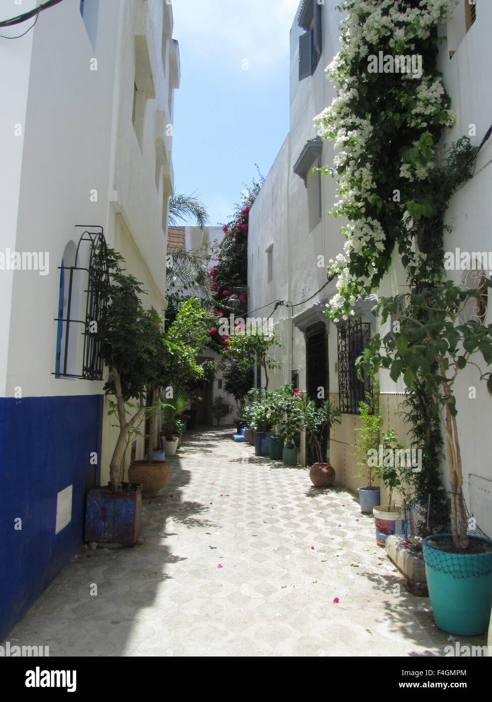 ASILAH, MOROCCO, Atlantic ocean coast Stock Photo - Alamy