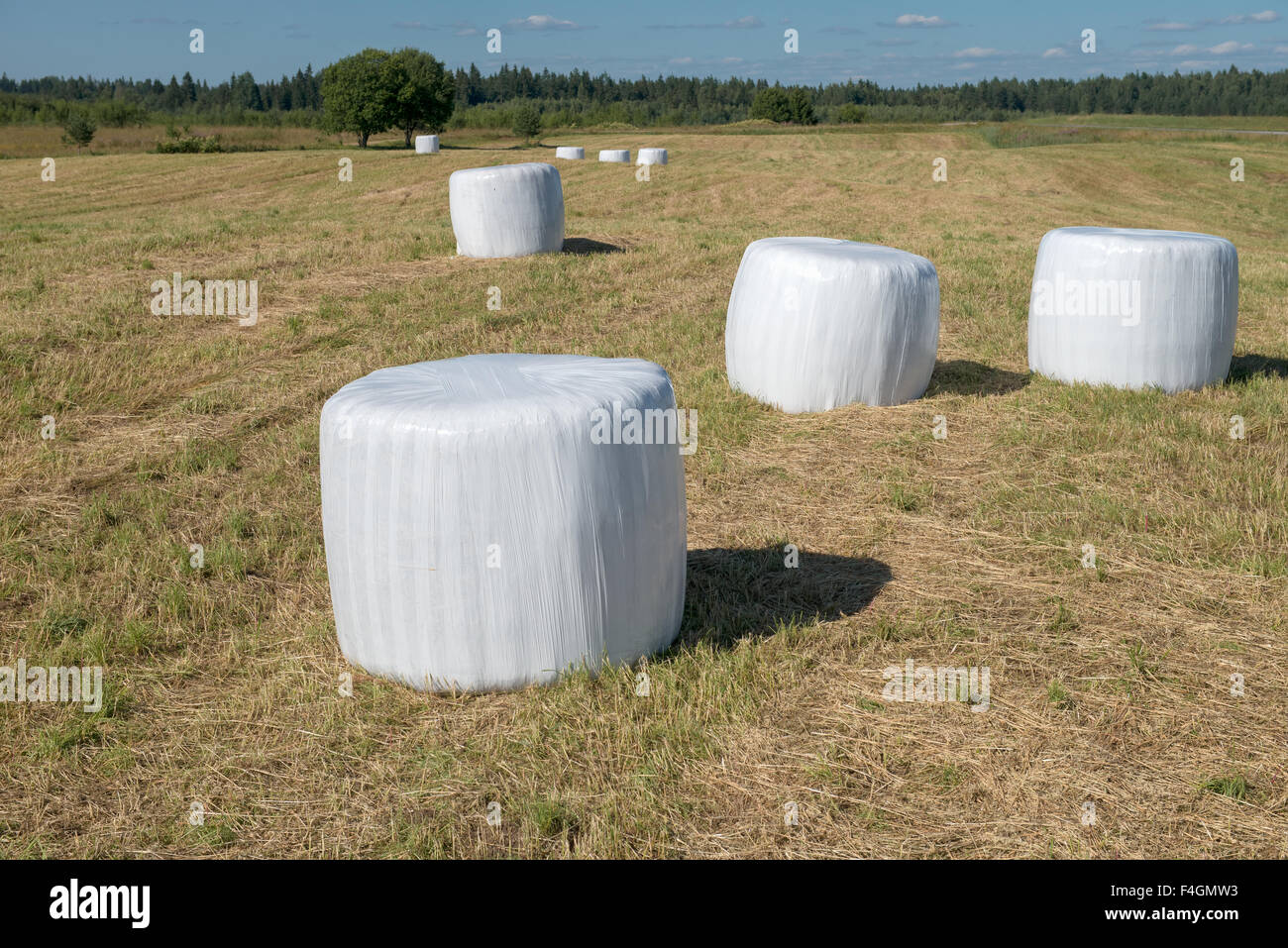 Hay rake circle hi-res stock photography and images - Alamy