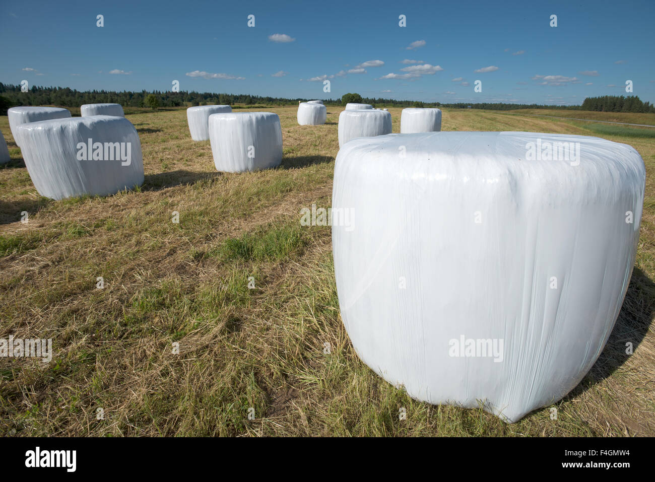 Hay rake circle hi-res stock photography and images - Alamy