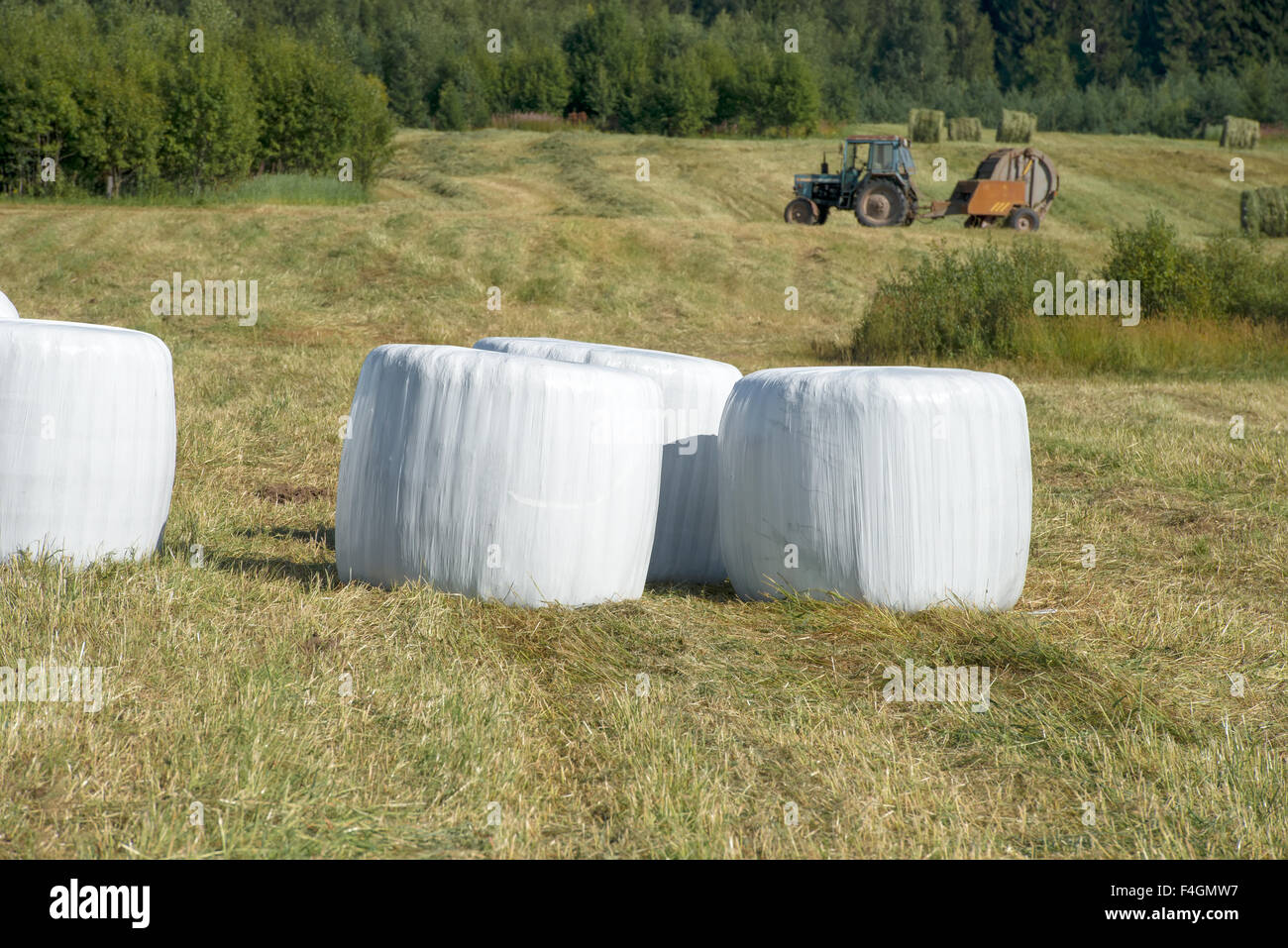 Round Bales Plastic Wrap High Resolution Stock Photography and Images ...