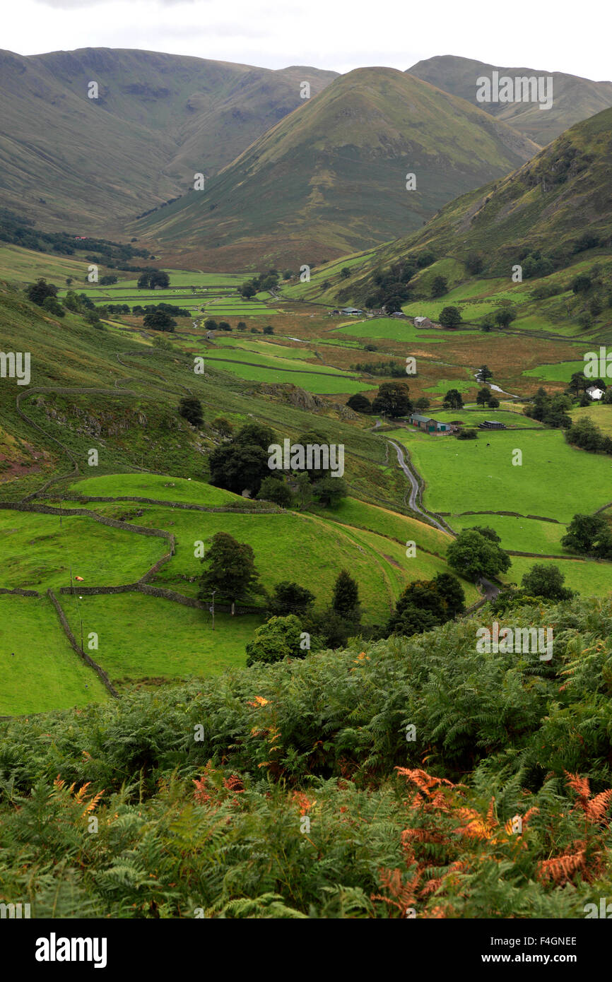 The martindale common valley hi-res stock photography and images - Alamy