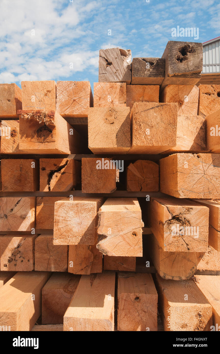 Lumbering canada hi-res stock photography and images - Alamy