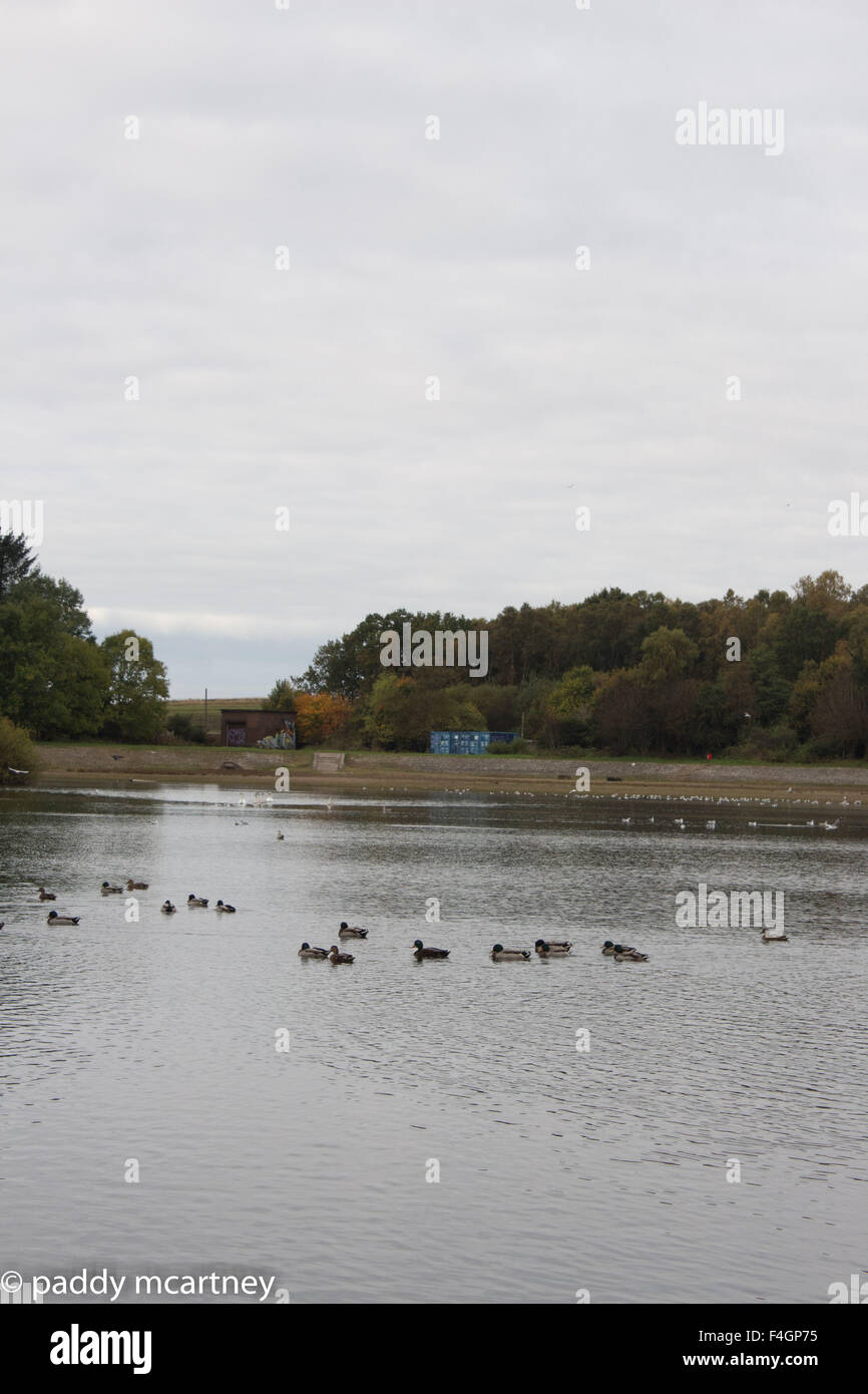 Clatto park dundee hi-res stock photography and images - Alamy