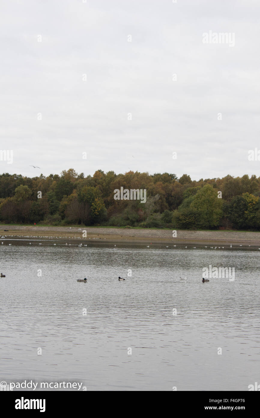 Clatto park dundee hi-res stock photography and images - Alamy