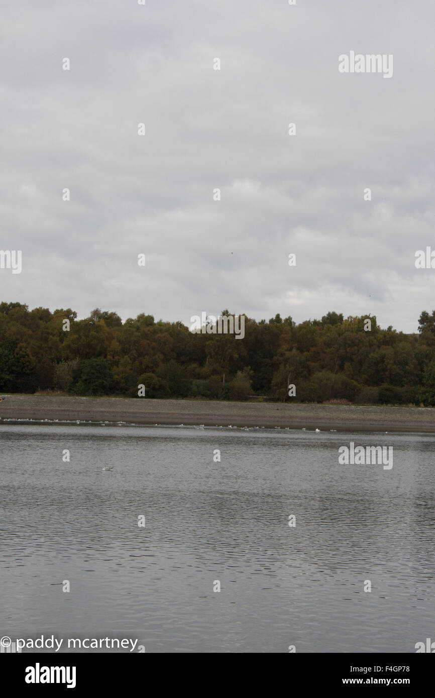 Dundee, Scotland, UK. 17th Oct, 2015. crisp morning at clatto park ...