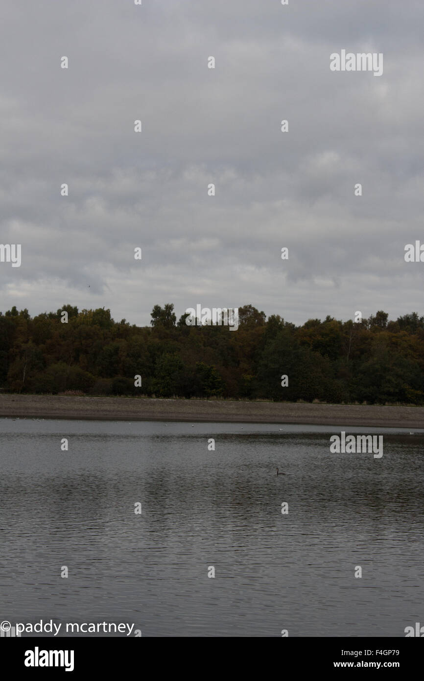 Dundee, Scotland, UK. 17th Oct, 2015. crisp morning at clatto park ...