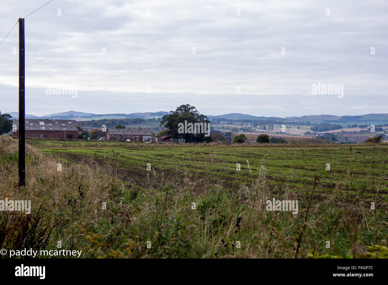 Clatto park dundee hi-res stock photography and images - Alamy