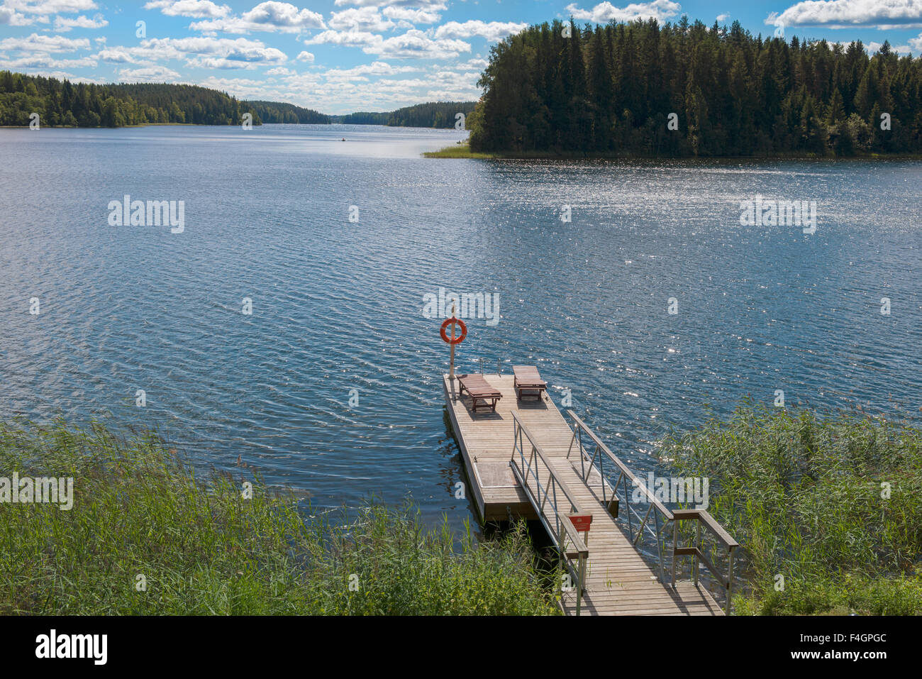 Forest lake with a pier Stock Photo - Alamy