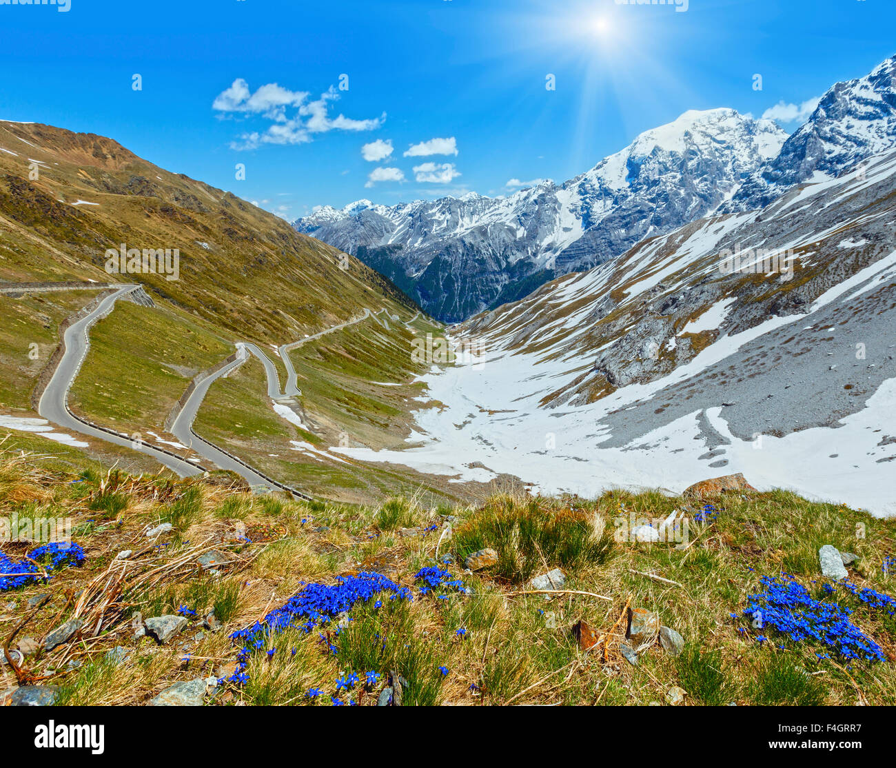 Stelvio pass hi-res stock photography and images - Alamy