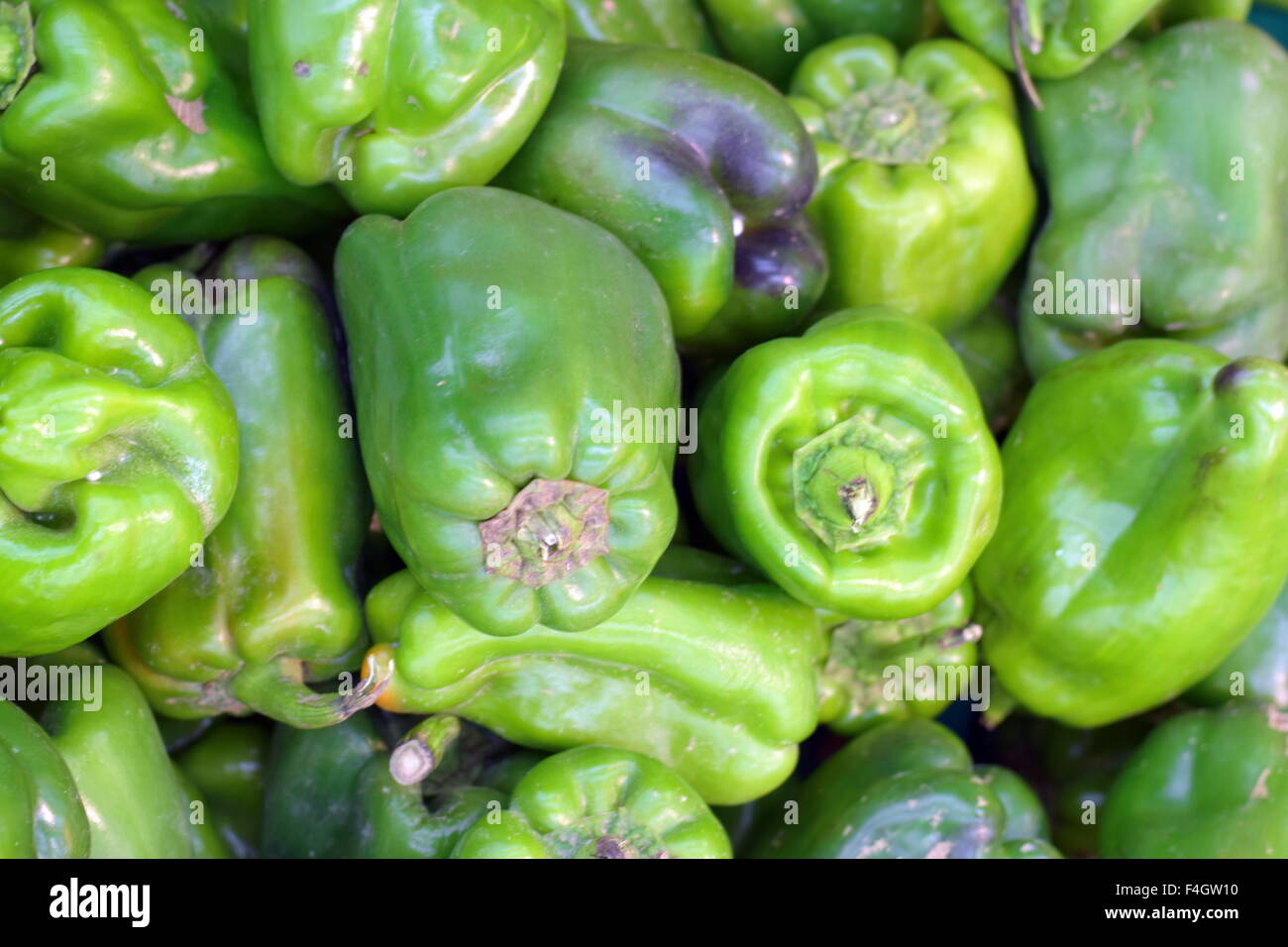 Fresh Bell Paper ready for sale Stock Photo - Alamy