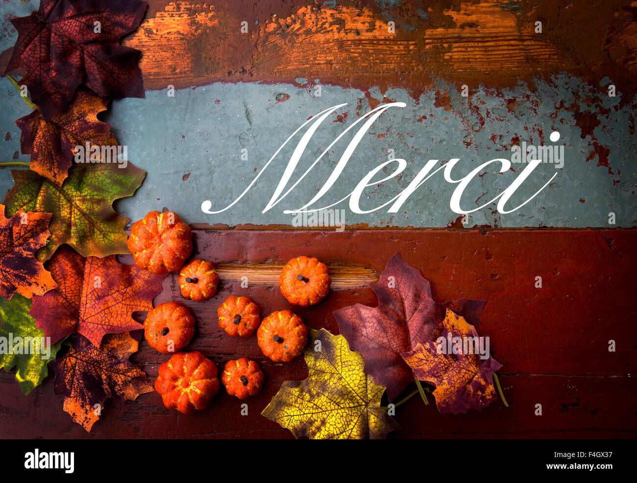 french word 'merci' (thank you) on old vintage wood with pumpkins and ...