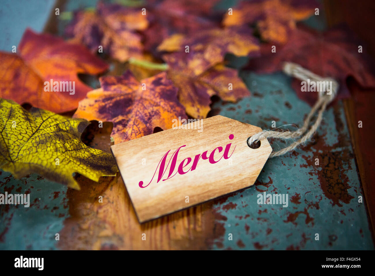 french word 'merci' (thank you) on wooden tag with leaves Stock Photo ...