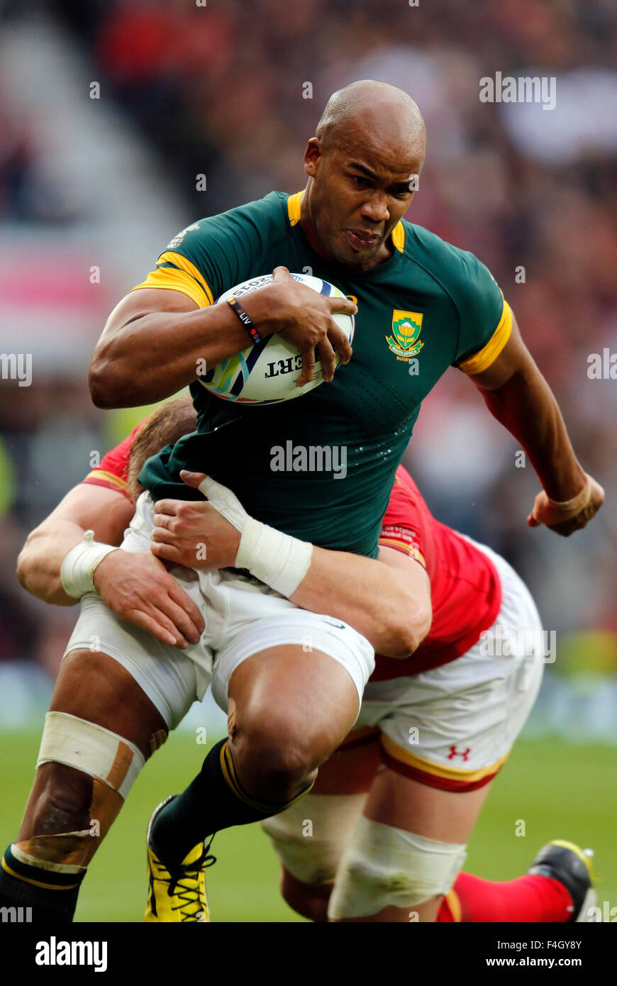 Jp pietersen world cup hi-res stock photography and images - Alamy