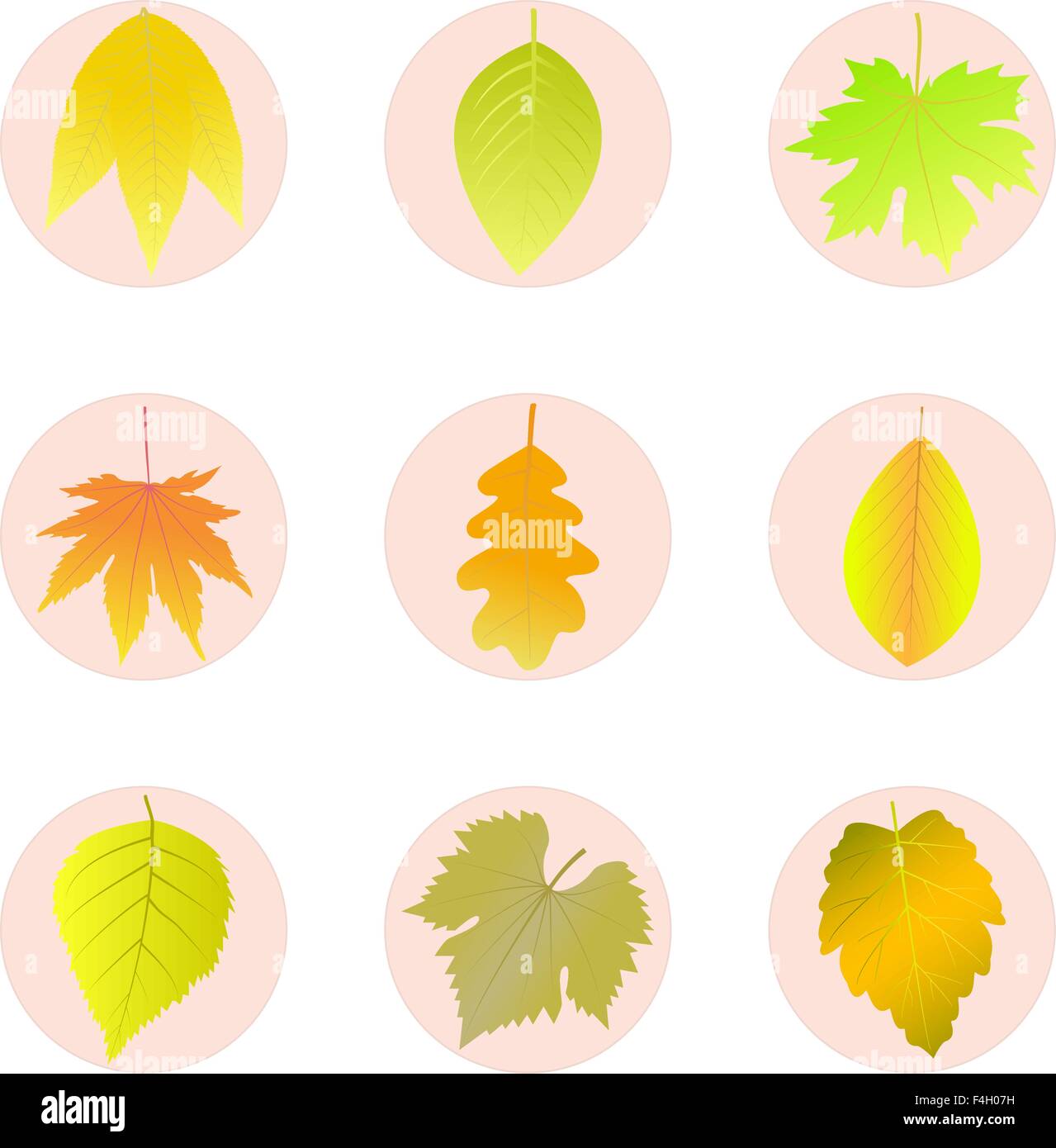 Set of icons autumn leaves Stock Vector Image & Art - Alamy