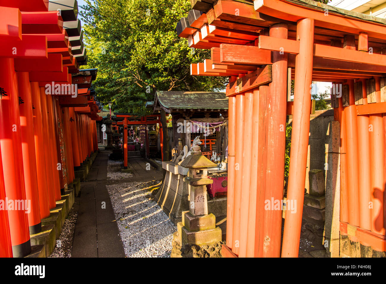 Anamori Inari Jinja, Ota-Ku,Tokyo,Japan Stock Photo - Alamy