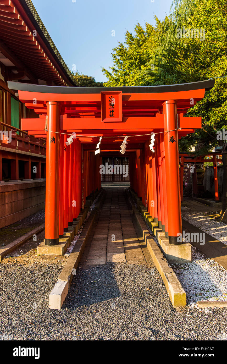 Anamori Inari Jinja, Ota-Ku,Tokyo,Japan Stock Photo - Alamy