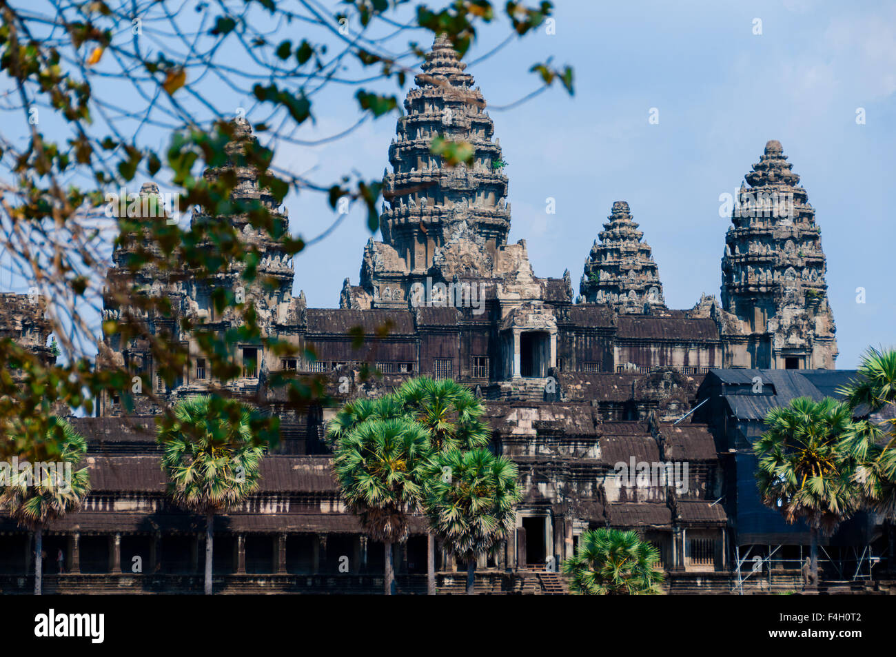 Leaves in front of Angkor Wat Stock Photo - Alamy