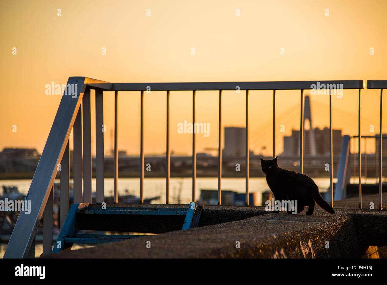 Fisherman's harbor, estuary of Tama river,Ota-Ku,Tokyo,Japan Stock ...