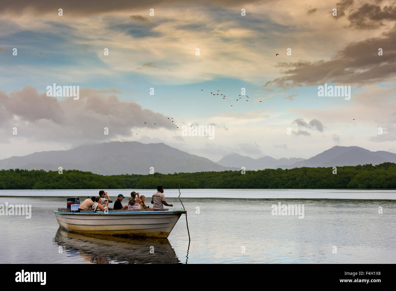 A guided boat tour through the Caroni Swamp Trinidad Stock Photo - Alamy