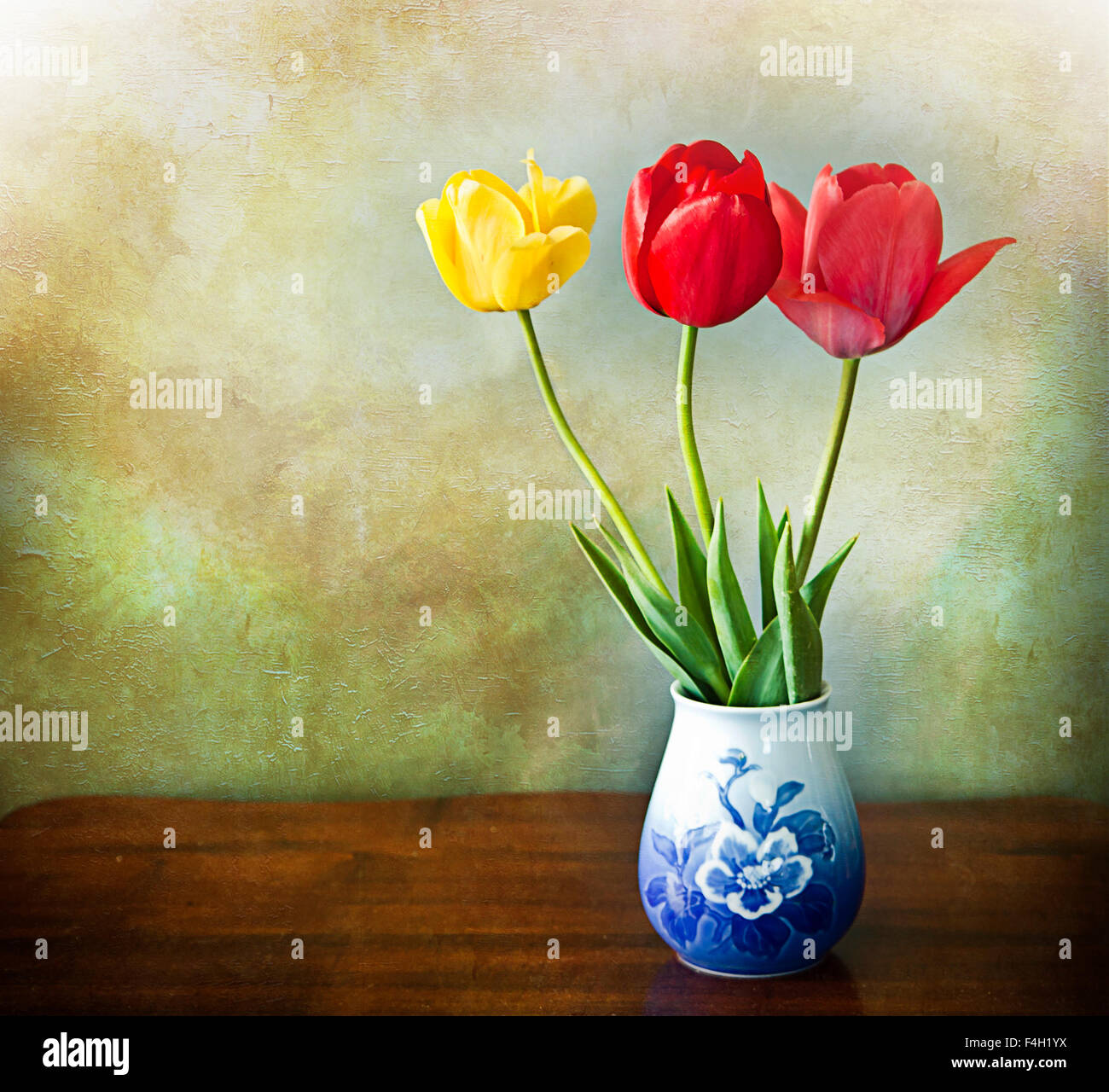 Still life, wooden table, china vase with three bright colored tulips ...