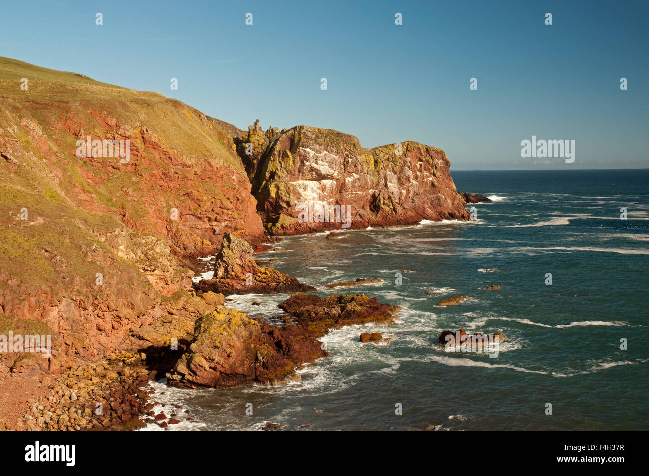 St Abb's Head Stock Photo - Alamy