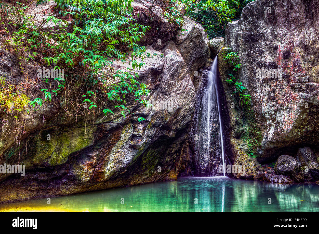 Philippines jungle hi-res stock photography and images - Alamy