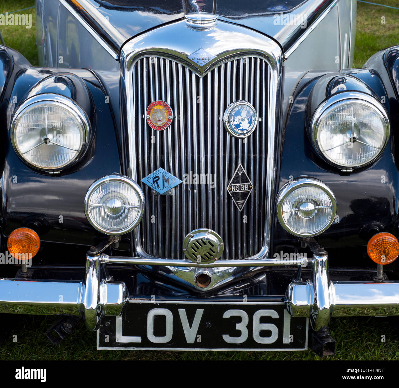 Riley green hi-res stock photography and images - Alamy