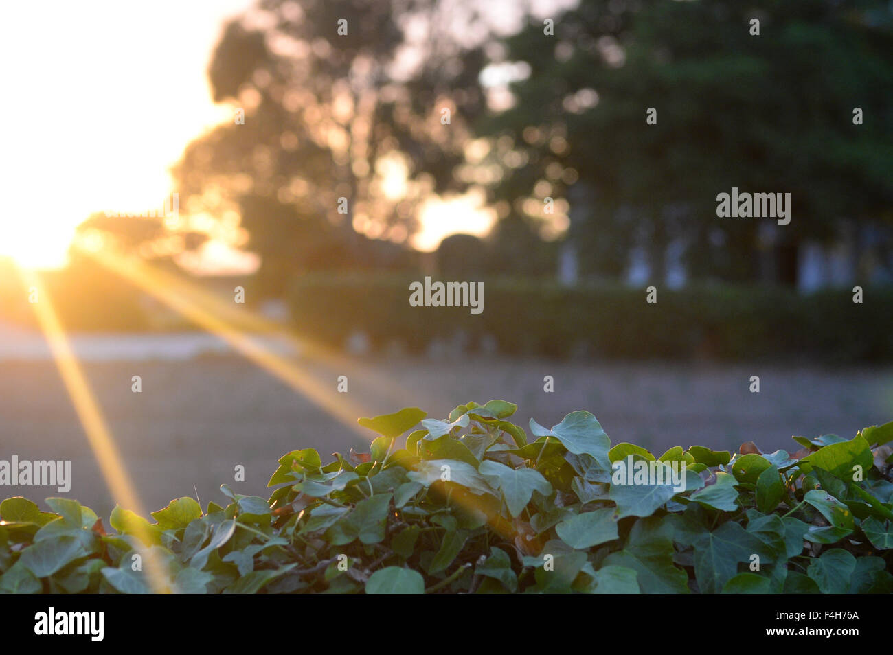 Sunset over French countryside Stock Photo - Alamy