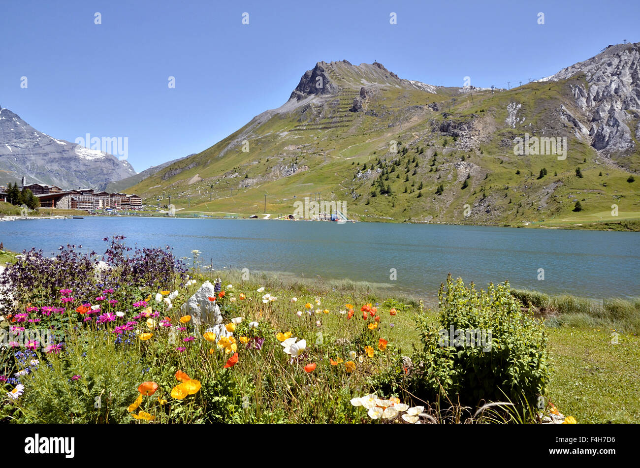 Lake of Tignes and flowers in France Stock Photo - Alamy
